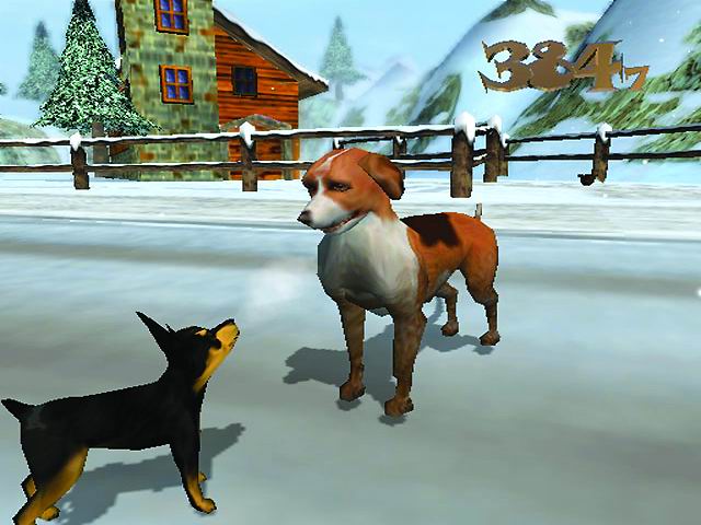 Dog's Life - Vita da Cani - ps2 - Multiplayer.it