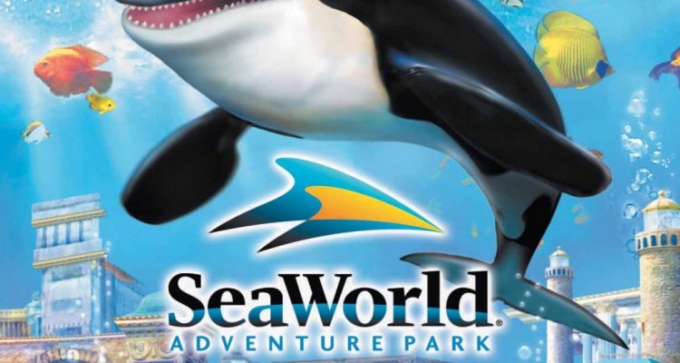 SeaWorld Adventure Parks: Shamu's Deep Sea Adventures - gba ... SeaWorld Adventure Parks: Shamu's Deep Sea Adventures - gba ...