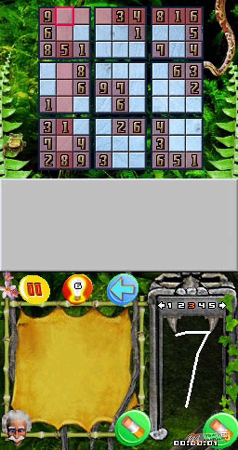 Professor Brainmaniac - DS - Multiplayer.it