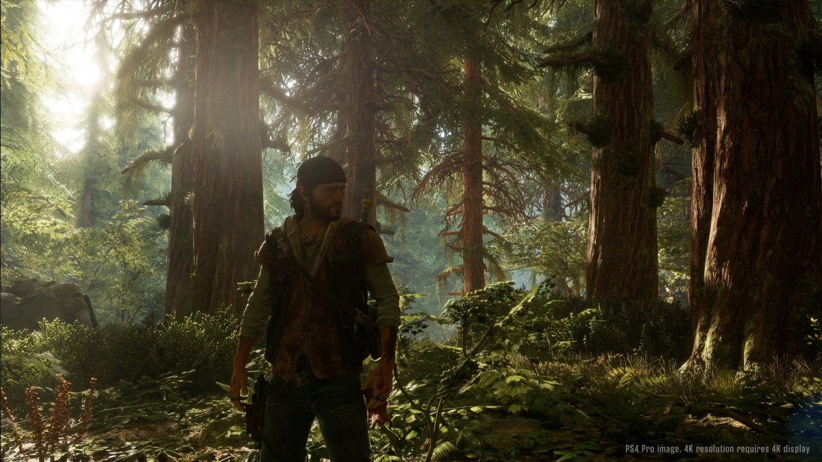 I pomeriggi soleggiati di Days Gone - Multiplayer.it