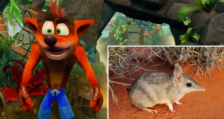 La fauna di Crash Bandicoot - Multiplayer.it