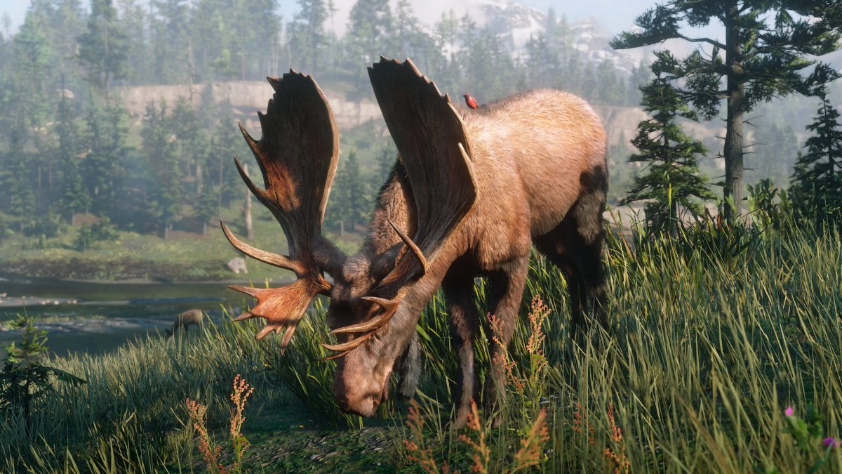 Red Dead Redemption 2, dove trovare gli animali leggendari - Multiplayer.it