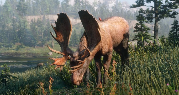Red Dead Redemption 2, dove trovare gli animali leggendari - Multiplayer.it