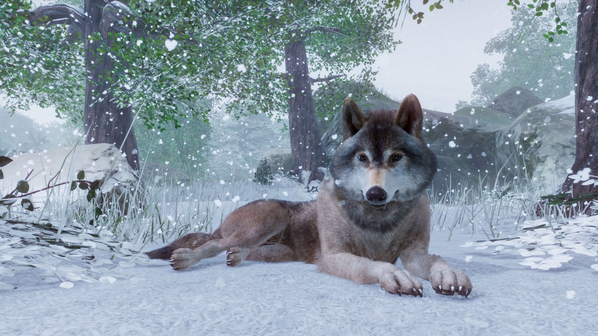 Planet Zoo - PC - Multiplayer.it
