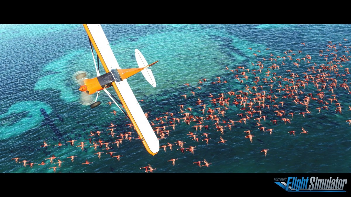 Microsoft Flight Simulator: un nuovo, spettacolare trailer all’X019 - Multiplayer.it