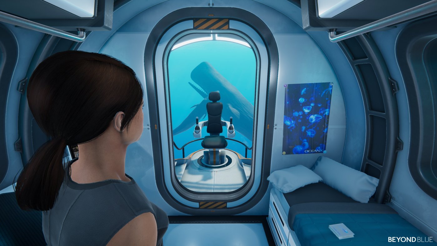 Beyond Blue, la recensione - Multiplayer.it