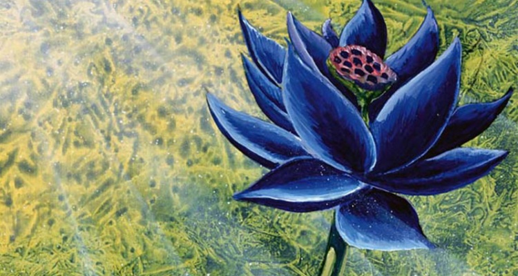 Magic: Loto Nero è stato venduto per una cifra astronomica - Multiplayer.it