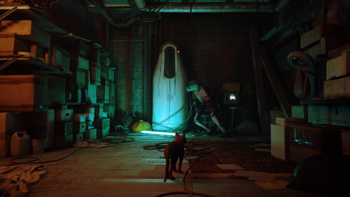 Stray - Xbox One - Multiplayer.it Stray - Xbox One - Multiplayer.it