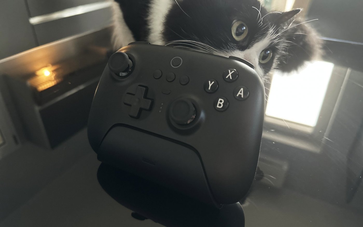 8BitDo Ultimate Controller, la recensione del pro controller per ...