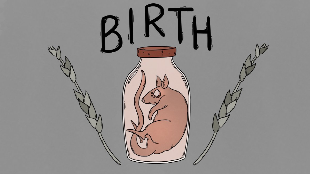 Birth, la recensione - Multiplayer.it