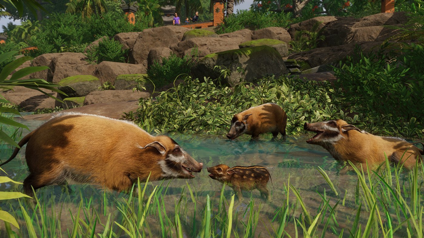 Planet Zoo: Tropical Pack, la recensione - Multiplayer.it