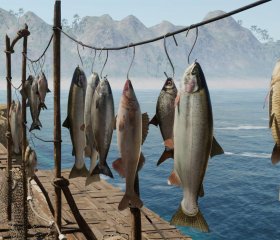 PC Windows - Multiplayer.it