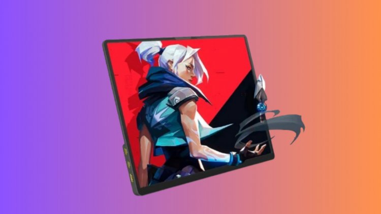 Porta a spasso il tuo monitor: il pannello ZSUS da 14" compatibile con ...