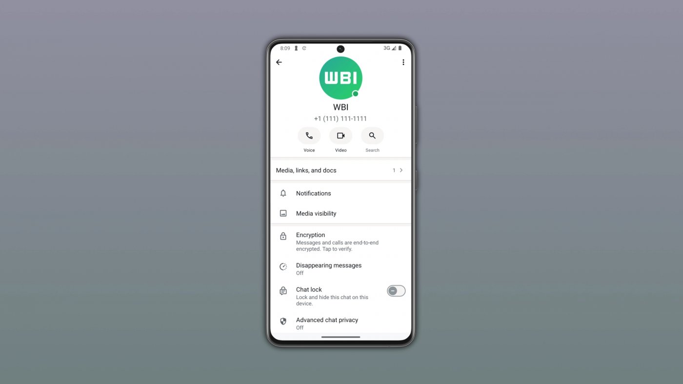 WhatsApp testa il pallino verde per i contatti online - Multiplayer.it